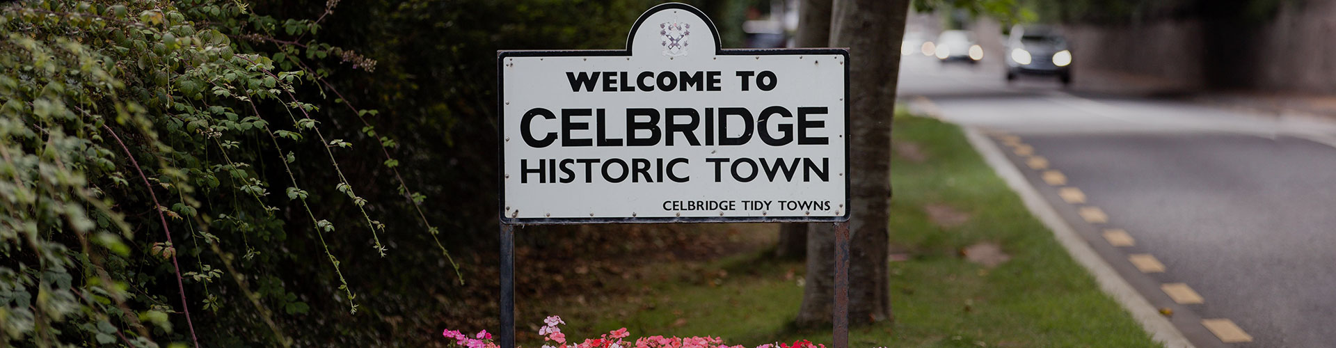 Letting Agent in Celbridge