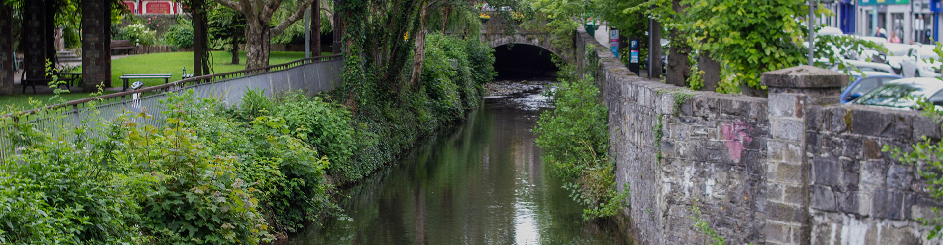 Letting Agent in Lucan